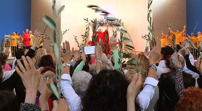 Swami Roberto’s Darshan | Anima Universale (Universal Soul)